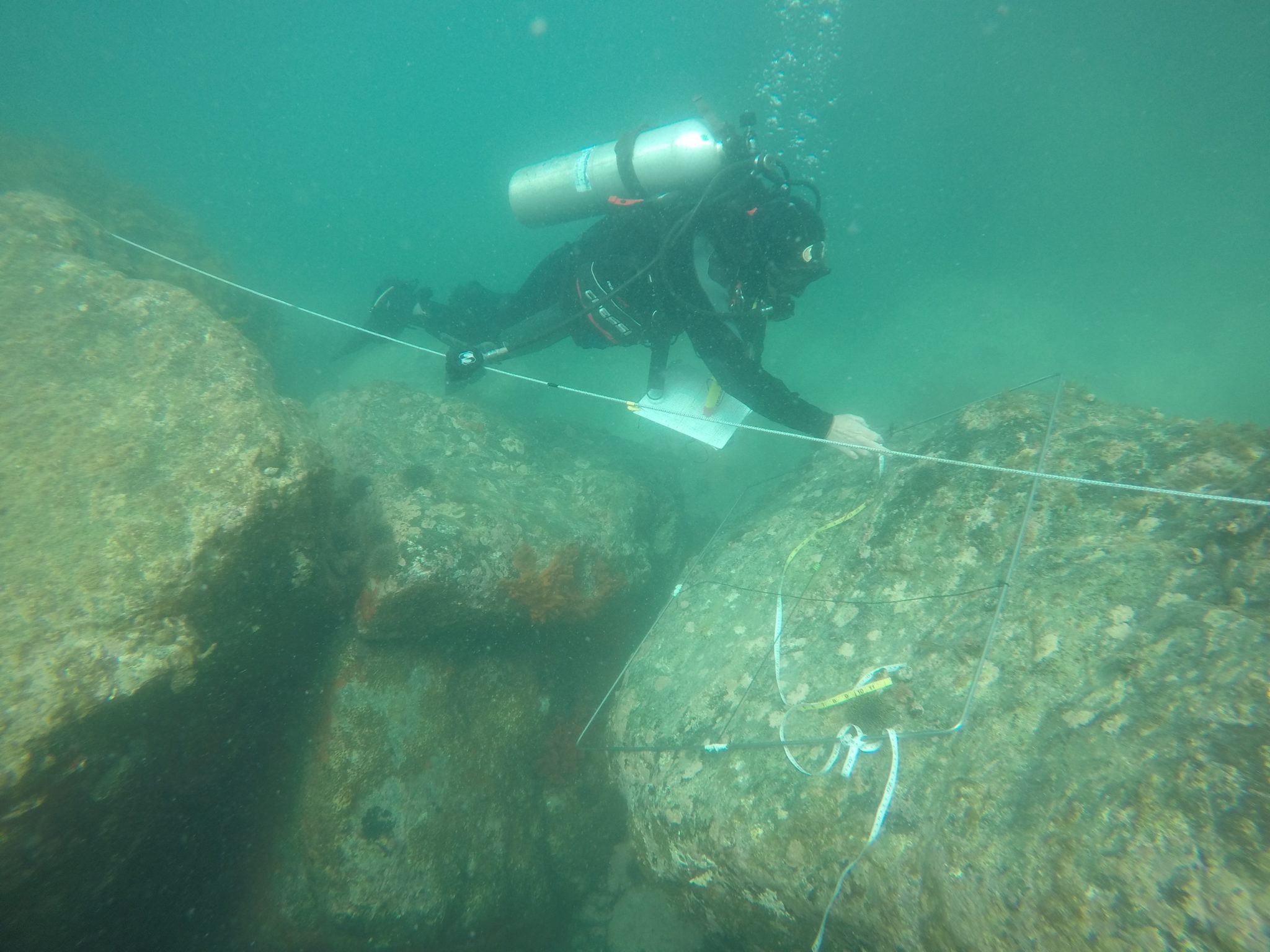 We need to talk about kina - The Noises